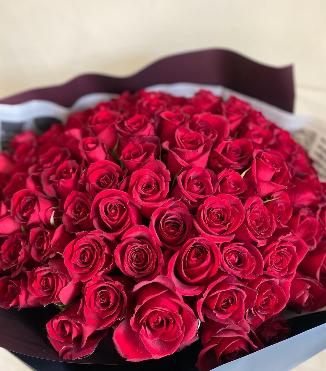 108 roses - With Garden Tsukuba ウィズガーデンつくば